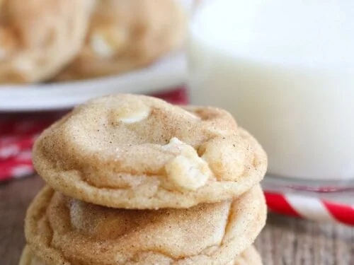 The Best Snickerdoodle Recipe