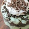 Mint Trifle Recipe {With Oreos + Andes Mints} | Lil' Luna