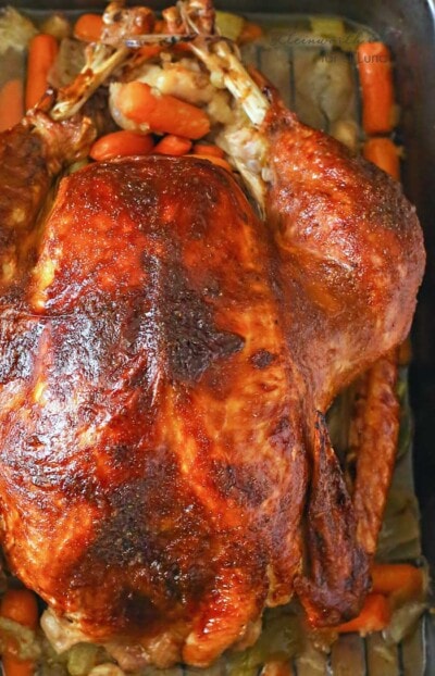 How to Roast a Turkey {Step by Step} + VIDEO | Lil' Luna