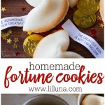 Homemade Fortune Cookies {How to Make} | Lil' Luna
