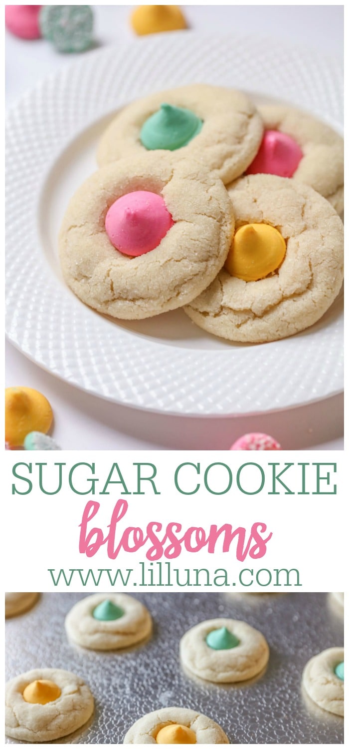 Sugar Cookie Blossoms {Soft + Chewy} | Lil' Luna