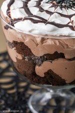 Chocolate Spider Trifle - Lil' Luna