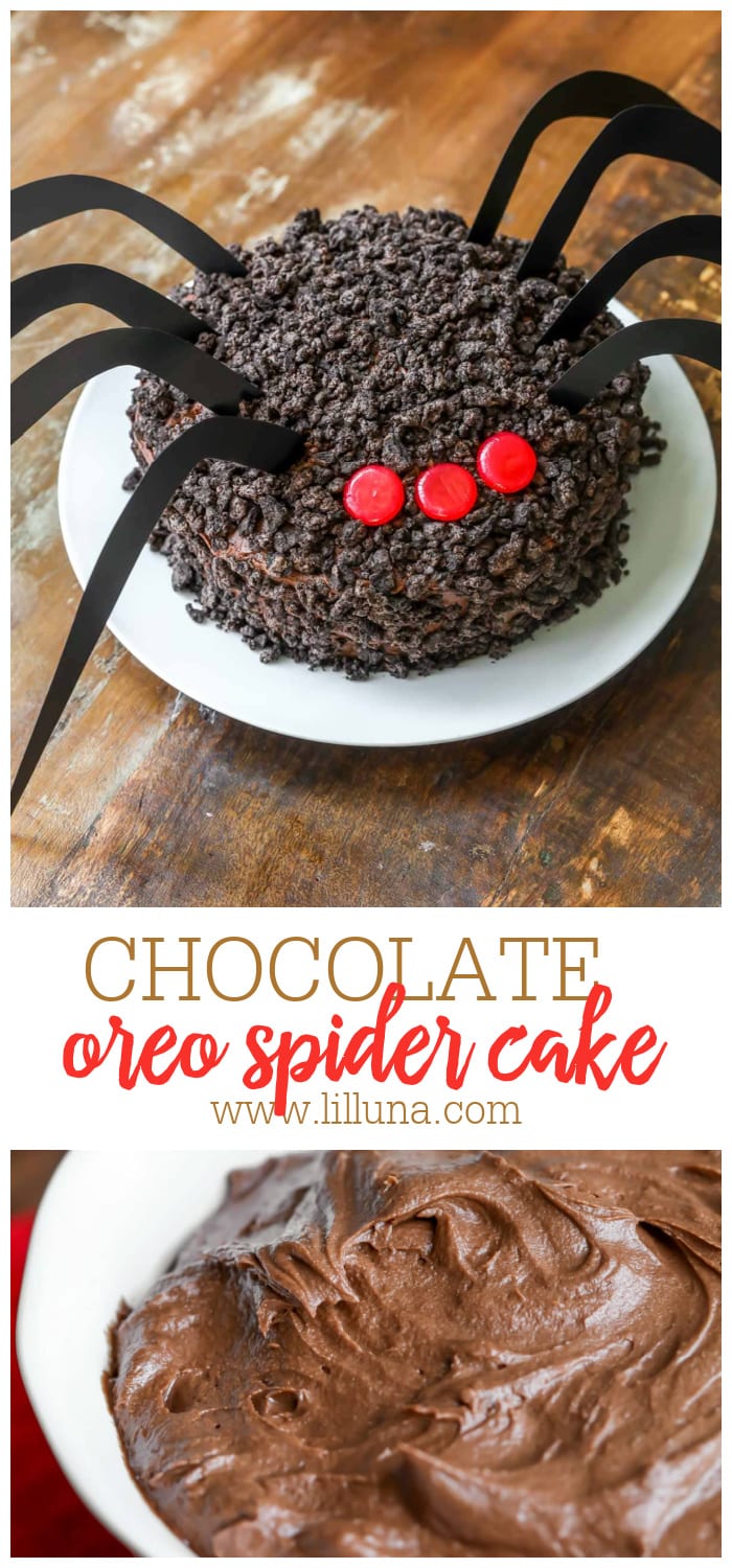 Chocolate Oreo Spider Cake {Spooky + Kid-Friendly} | Lil' Luna