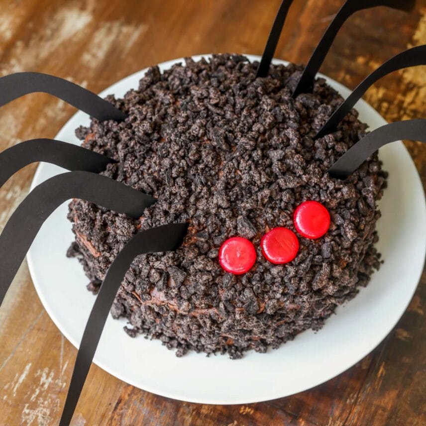 Chocolate Oreo Spider Cake {Spooky + Kid-Friendly} | Lil' Luna