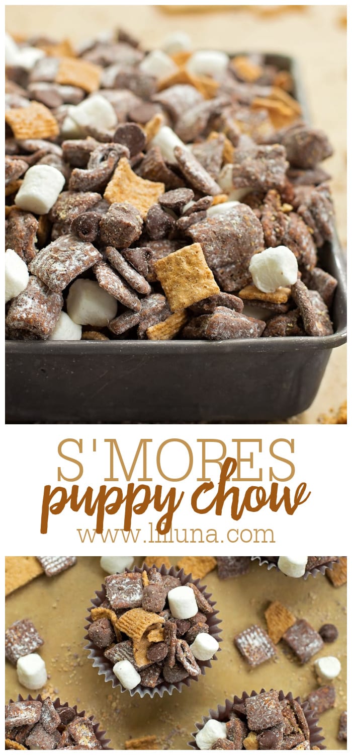 S'mores Puppy Chow {Quick, Easy + Portable!} | Lil' Luna