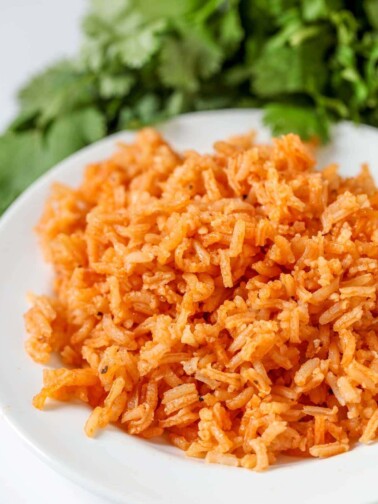 Crockpot Spanish Rice {10 Minutes Prep!} | Lil' Luna