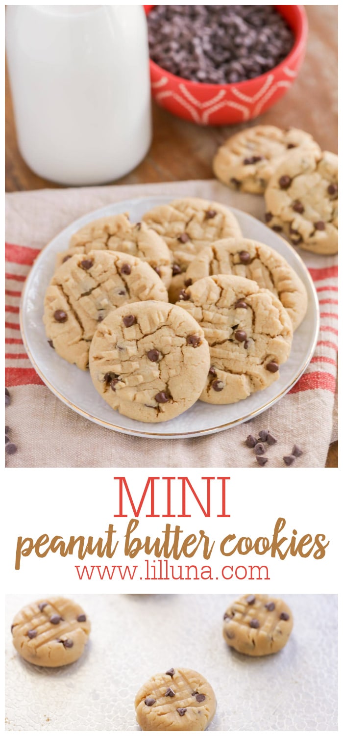 Mini Peanut Butter Cookies {Bite-Sized + Addicting} | Lil' Luna