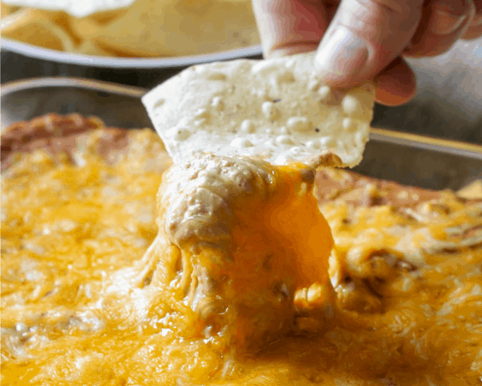 The Best Bean Dip Recipe {+VIDEO} | Lil' Luna