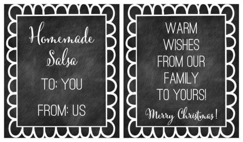 The BEST Homemade Salsa (Made in 5 Minutes!)