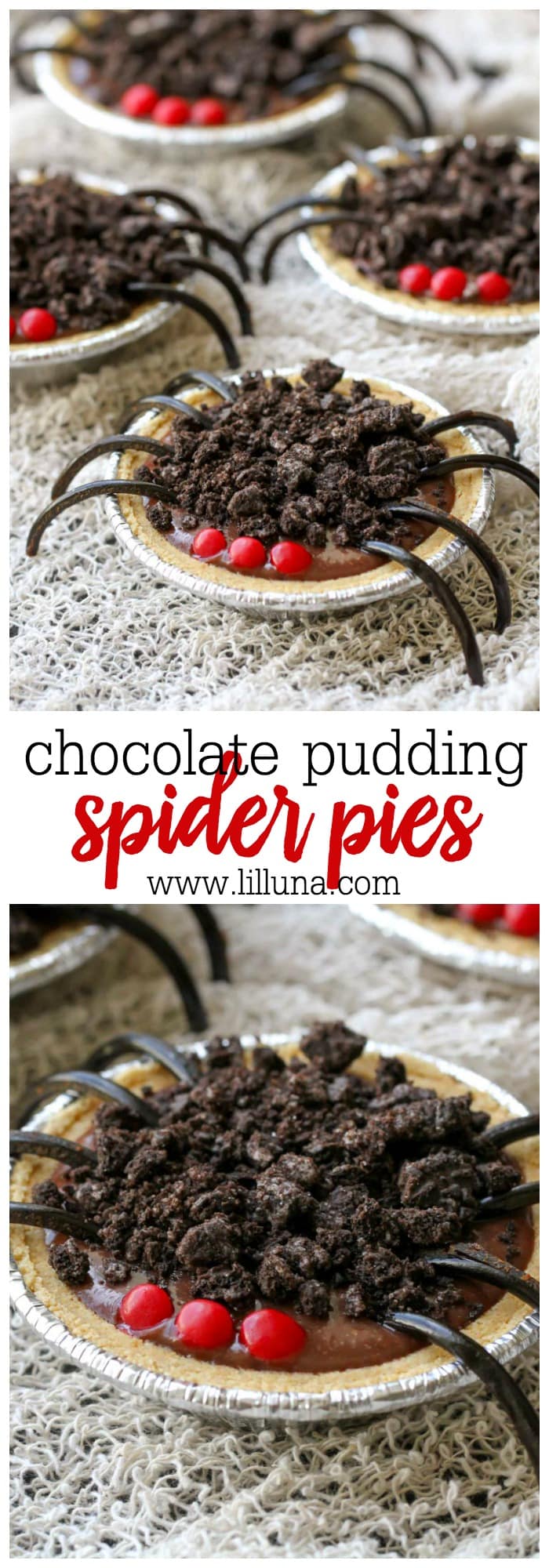 Chocolate Pudding Pie Spiders - Perfect for Halloween! | Lil' Luna