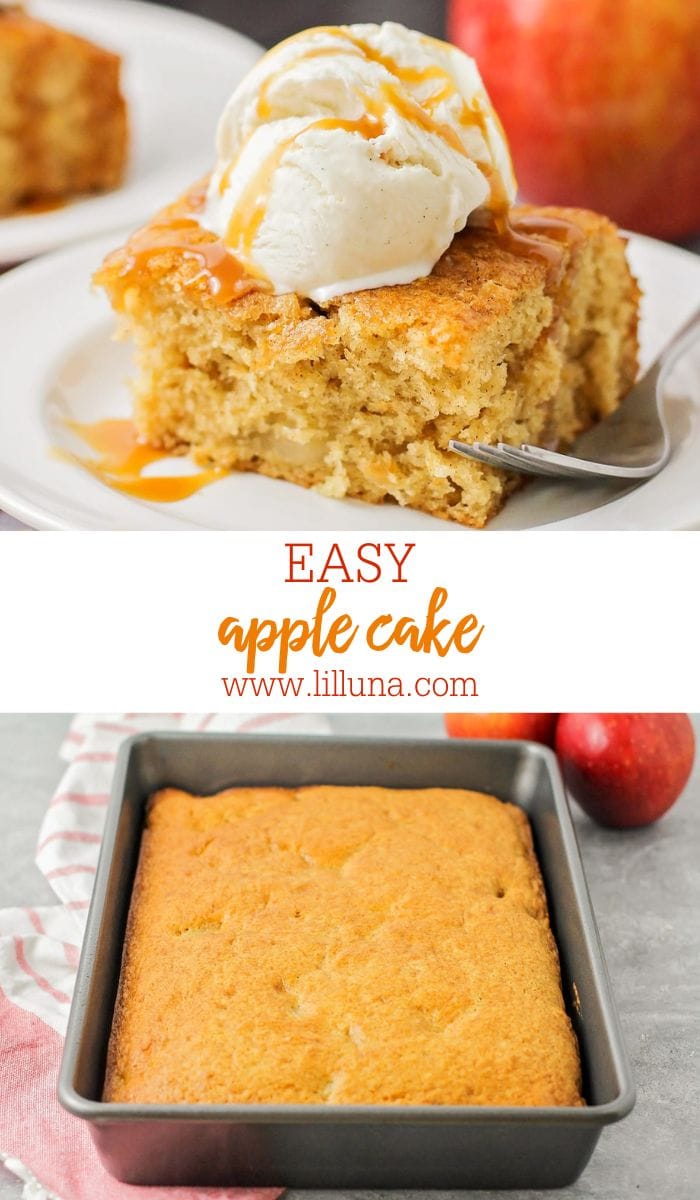 Easy Apple Cake {5 ingredients!} | Lil' Luna