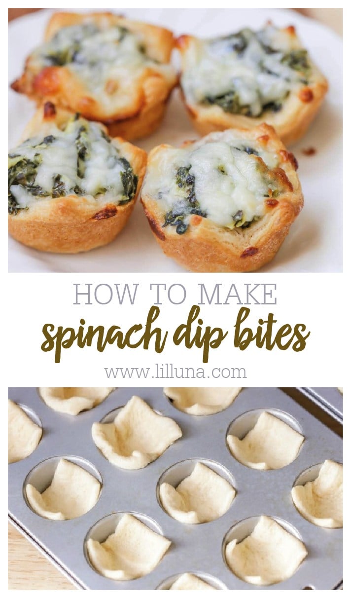 Spinach Dip Bites {+VIDEO} | Lil' Luna