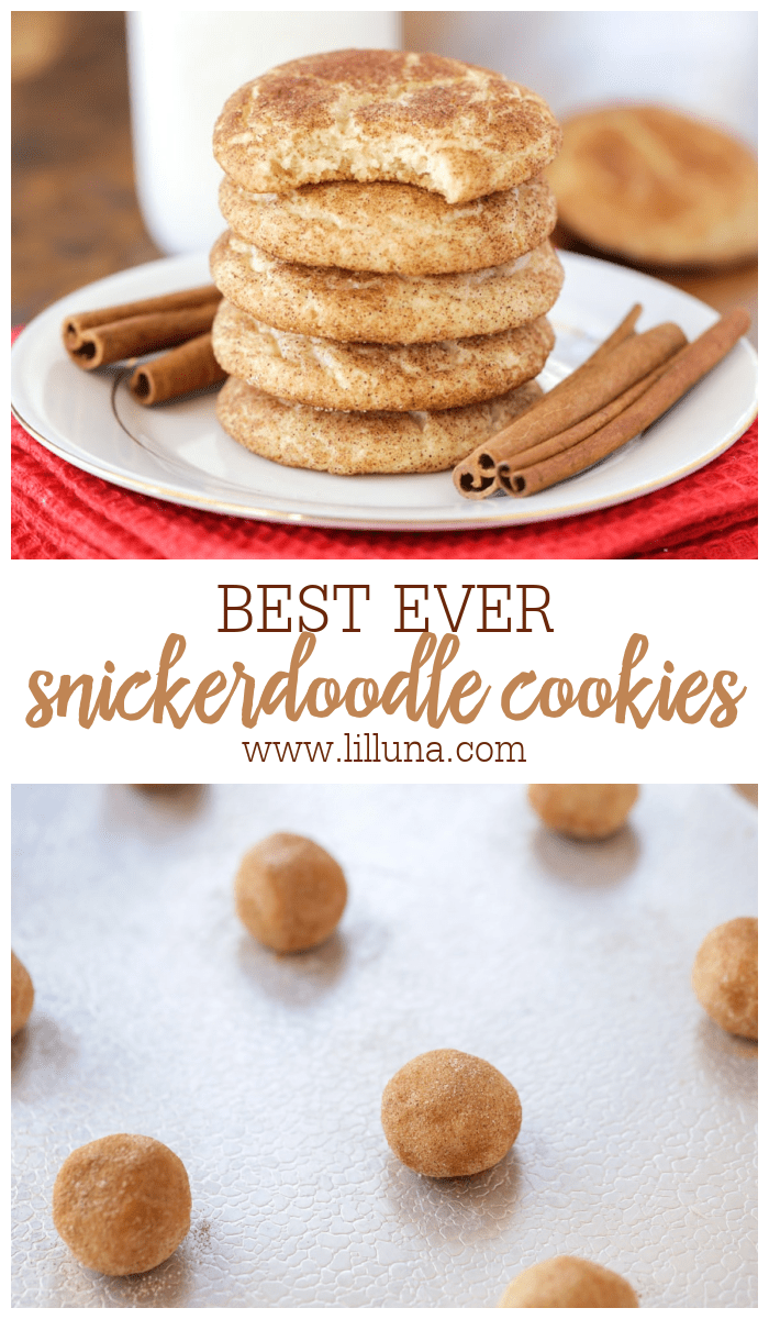 The Best Snickerdoodle Cookie Recipe | Lil' Luna
