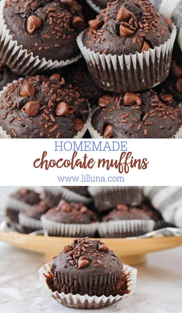 Quick + Easy Chocolate Muffins {+VIDEO} | Lil' Luna