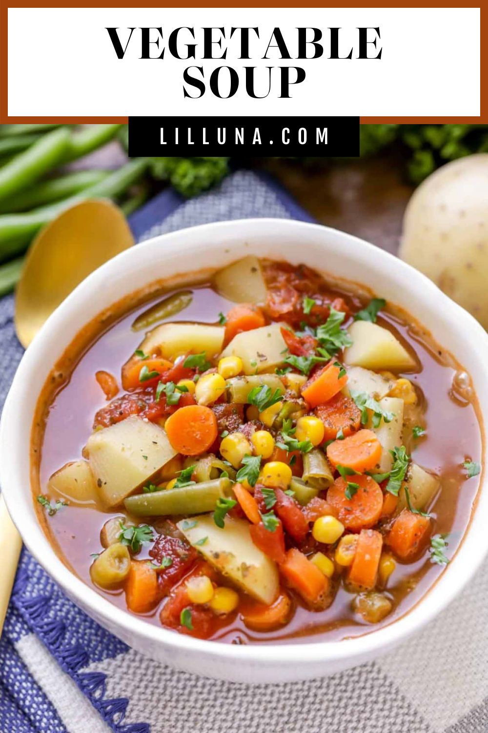 Homemade Vegetable Soup Recipe | Lil' Luna