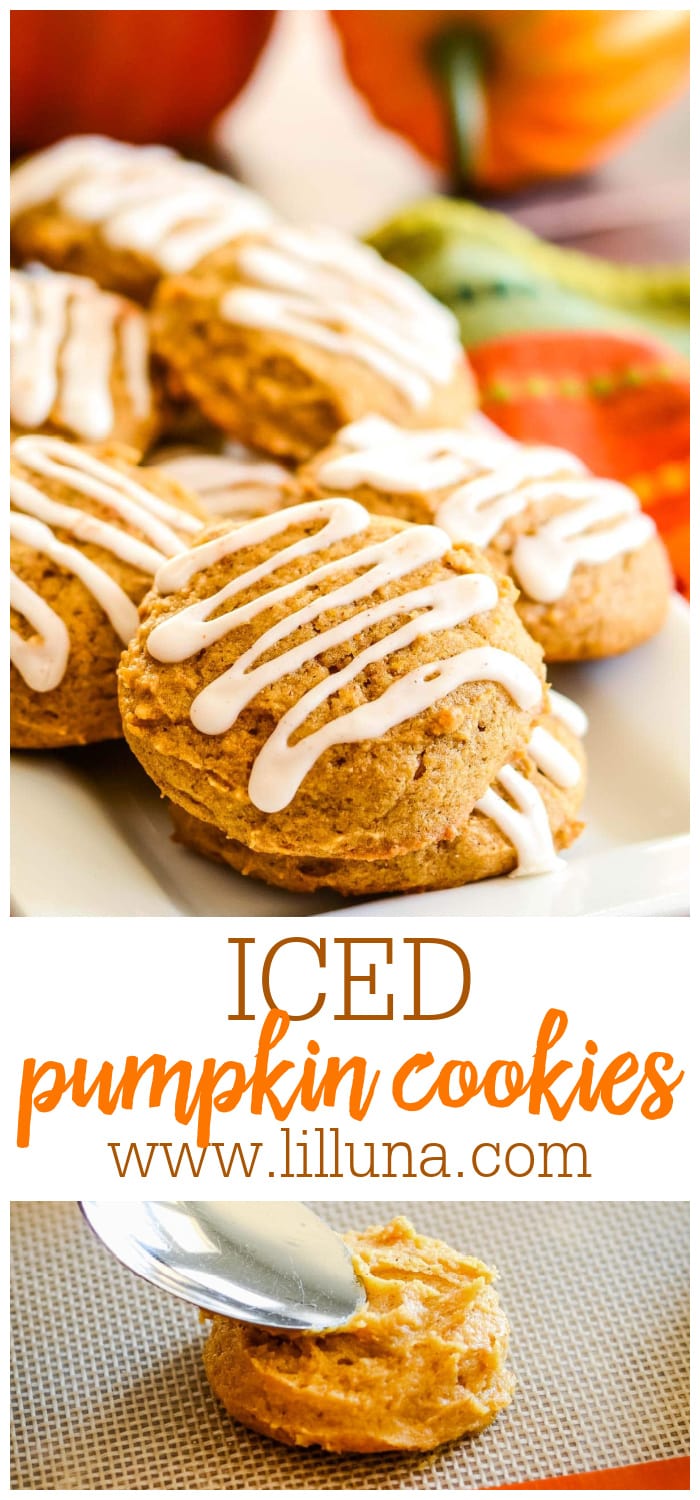 Iced Pumpkin Cookies (With Cinnamon Icing!) | Lil' Luna