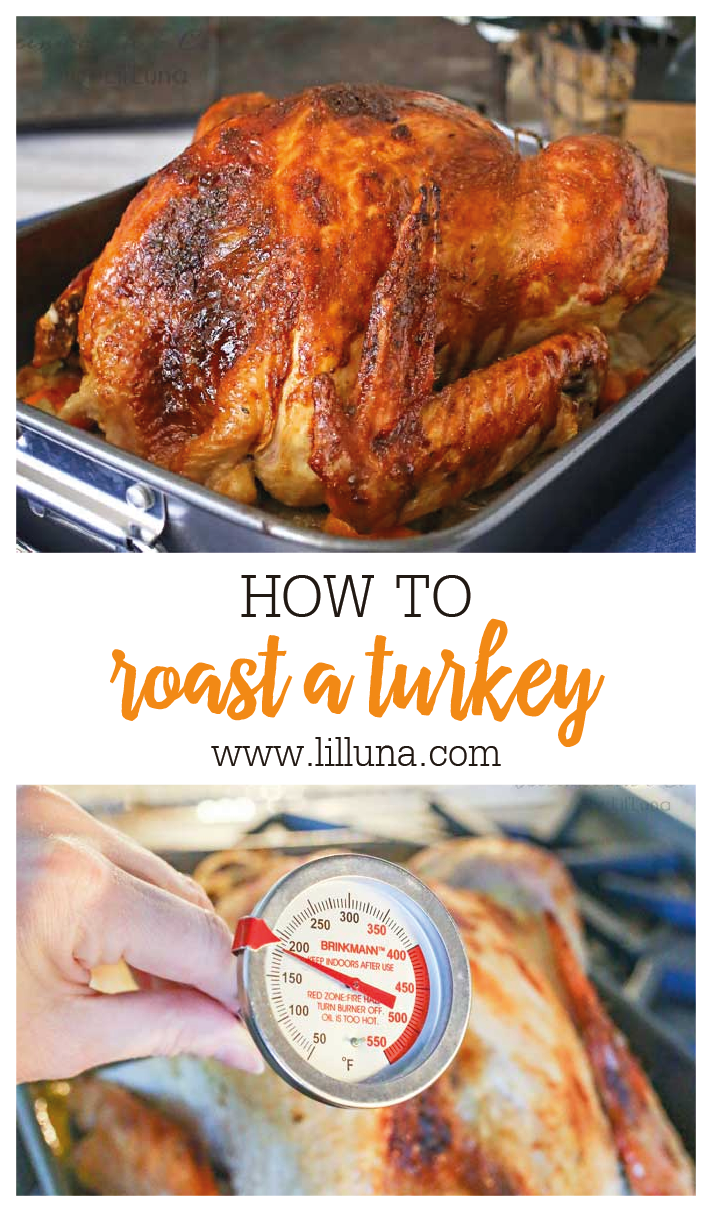How to Roast a Turkey {Step by Step} | Lil' LunaF