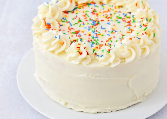 Vanilla Cake + 30 Easy Cake Recipes {+VIDEO} | Lil' Luna