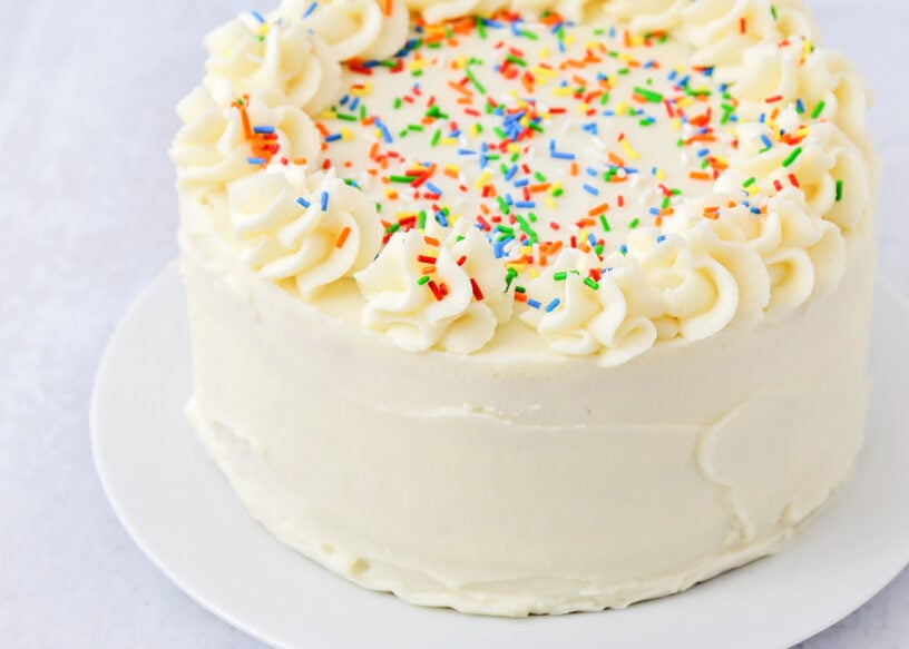 Vanilla Cake + 30 Easy Cake Recipes {+VIDEO} | Lil' Luna