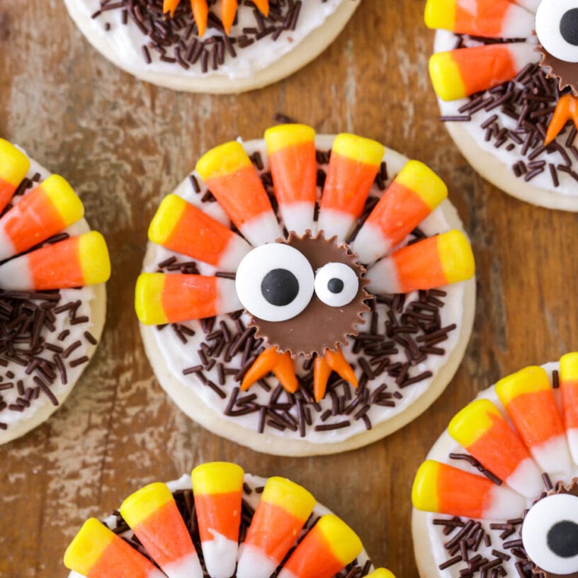 Thanksgiving Sugar Cookies {Easy + Fun} | Lil' Luna