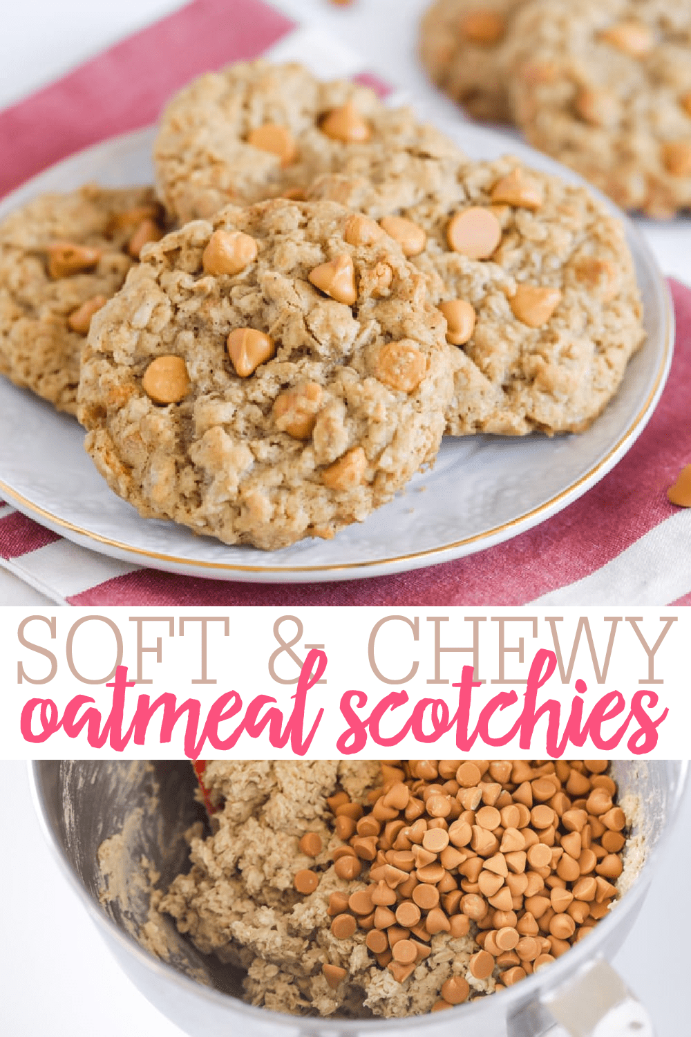 Oatmeal Scotchies Recipe {Soft + Chewy} +VIDEO | Lil' Luna