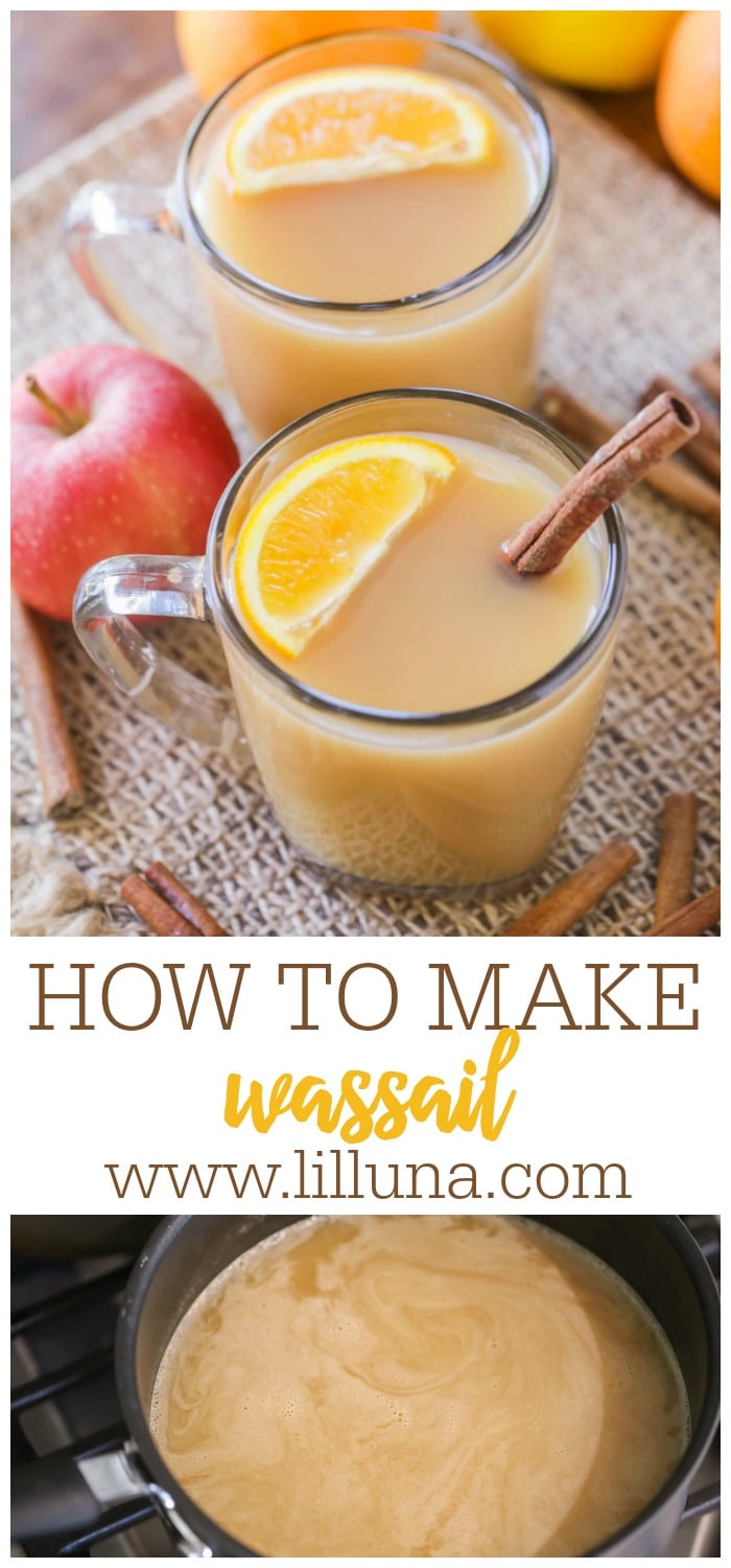 Easy Wassail Recipe | Lil' Luna