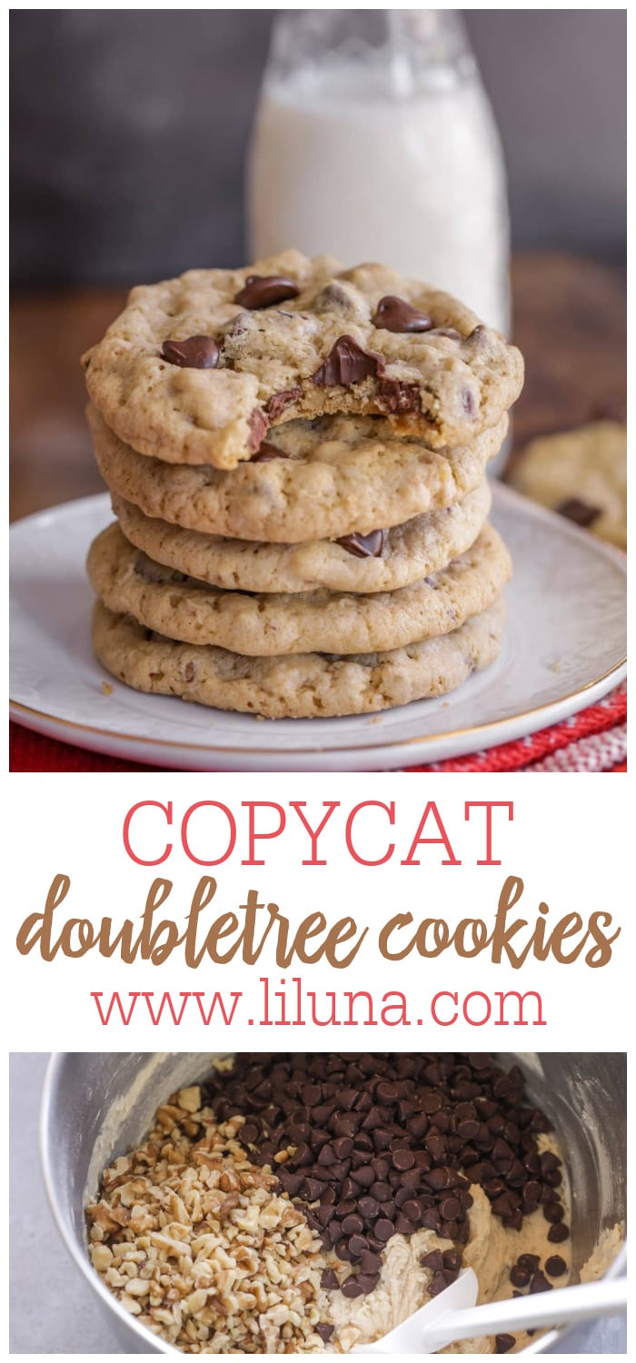 Copycat Doubletree Cookies | Lil' Luna