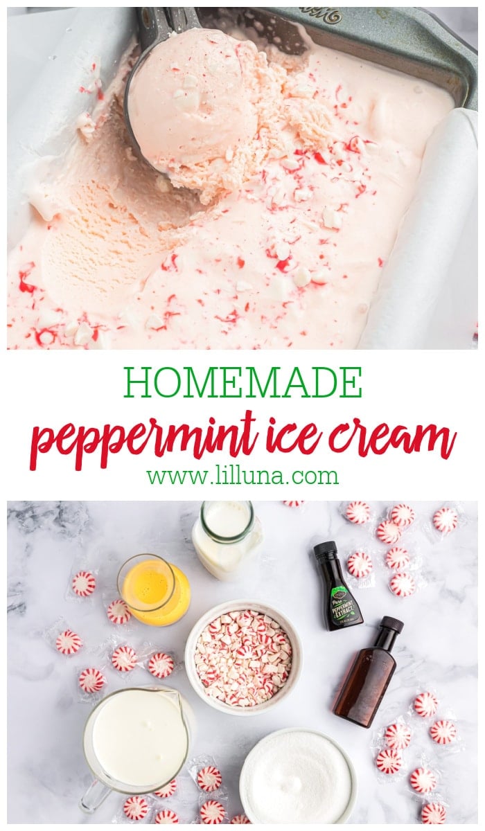 Homemade Peppermint Ice Cream Recipe | Lil' Luna