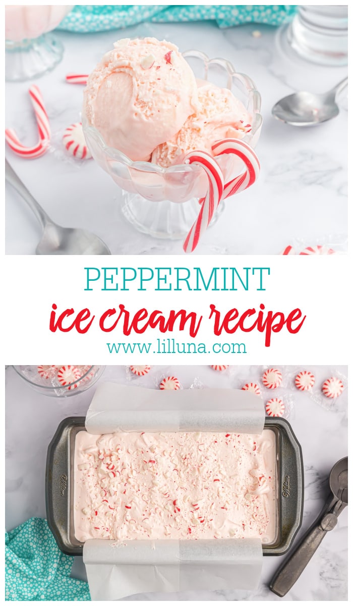 Homemade Peppermint Ice Cream Recipe | Lil' Luna