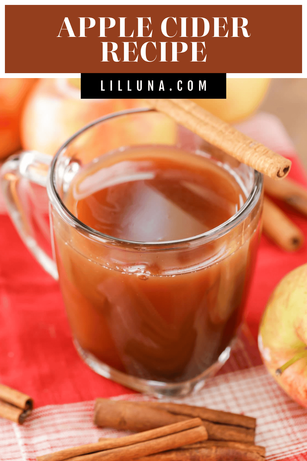 Easy Apple Cider Recipe | Lil' Luna
