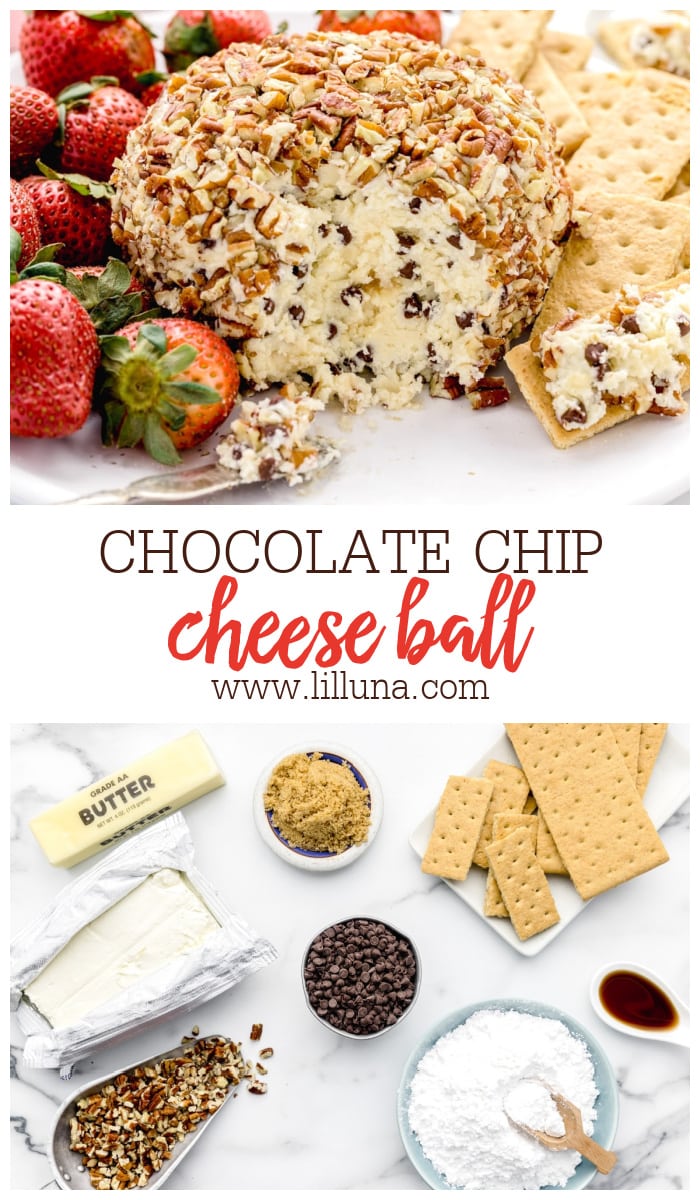 Chocolate Chip Cheese Ball {Dessert Cheese Ball} | Lil' Luna