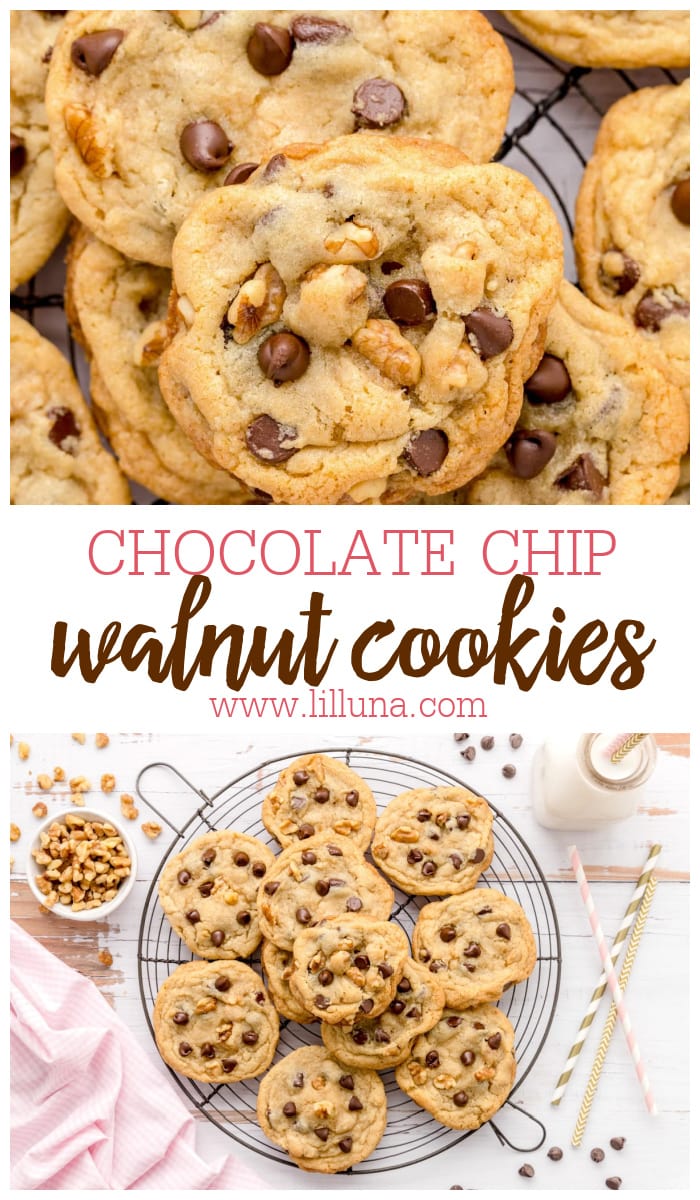 Chocolate Chip Walnut Cookies {Soft + Chewy} | Lil' Luna