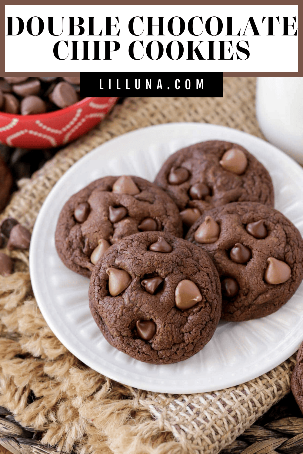 Double Chocolate Chip Cookies {SO easy!} | Lil' Luna