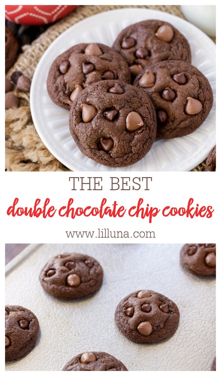 Double Chocolate Chip Cookies {SO easy!} | Lil' Luna