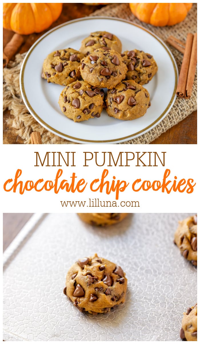 Mini Pumpkin Chocolate Chip Cookies | Lil' Luna