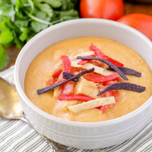 {Family Favorite} Mexican Soup Recipes | Lil' Luna