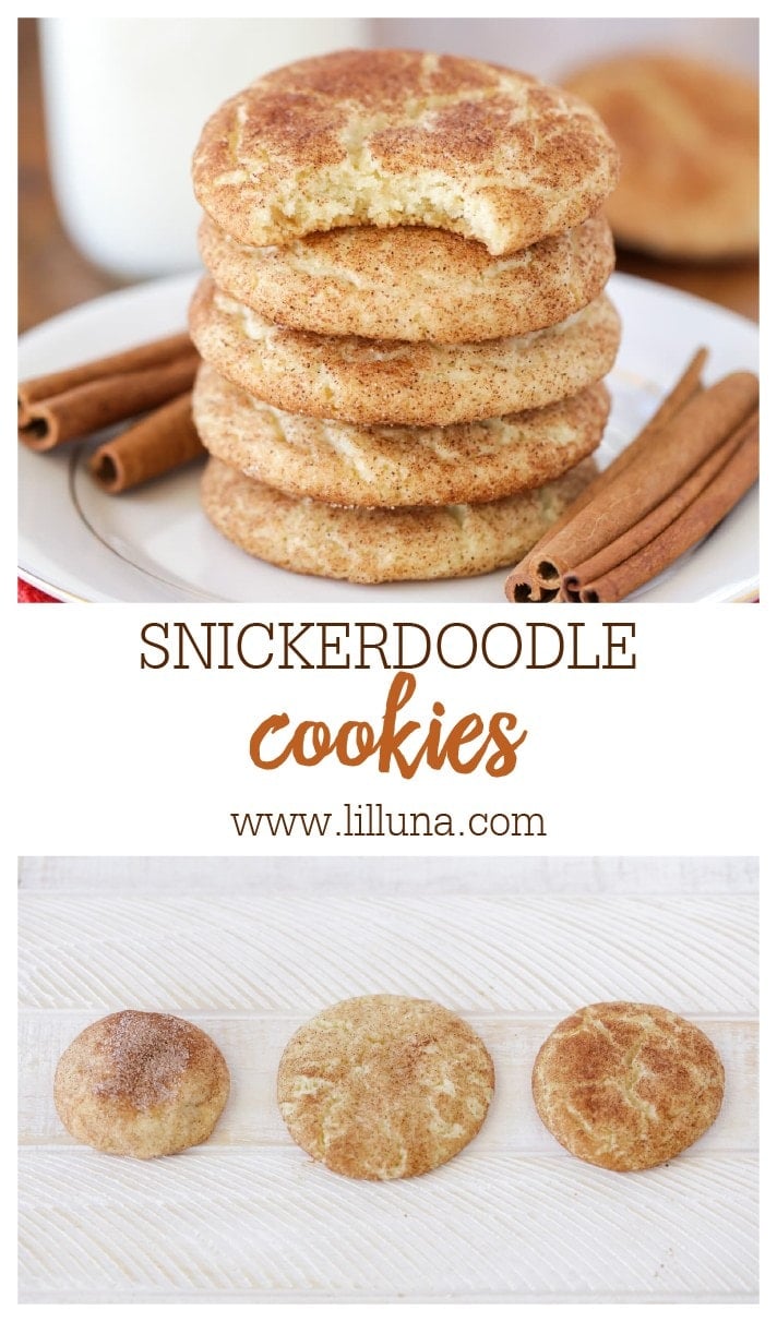 The Best Snickerdoodle Cookies {Soft + Chewy +VIDEO} | Lil' Luna