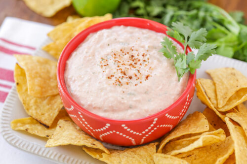 Cream Cheese Salsa Dip Lil Luna
