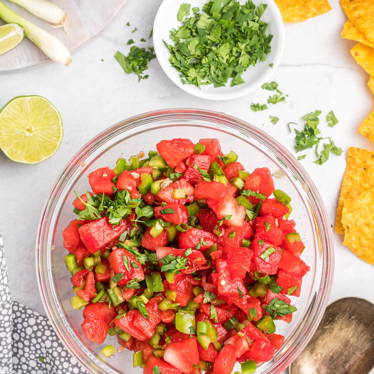 Watermelon Salsa {Sweet + Spicy!} | Lil' Luna