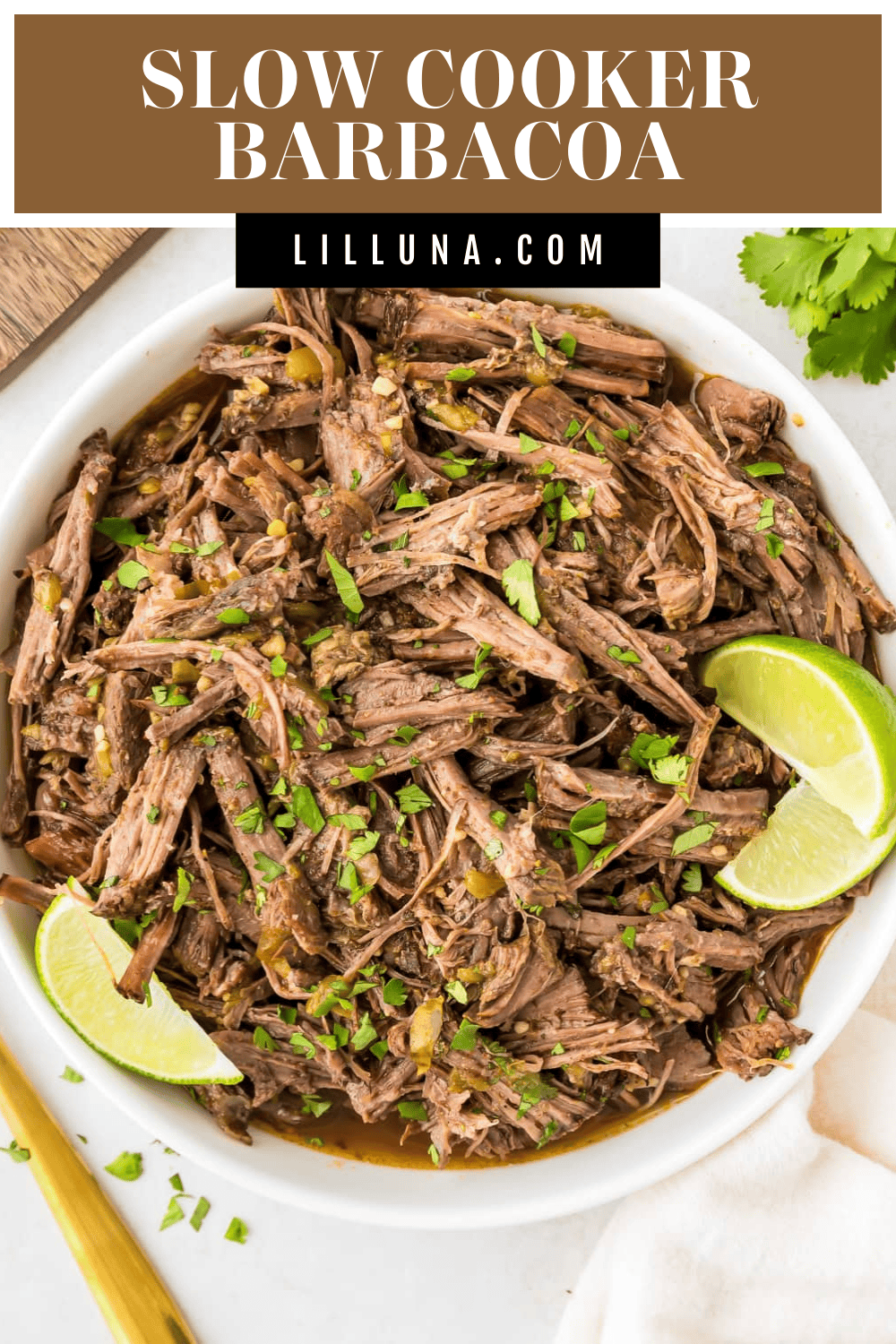 Slow Cooker Barbacoa | Lil' Luna