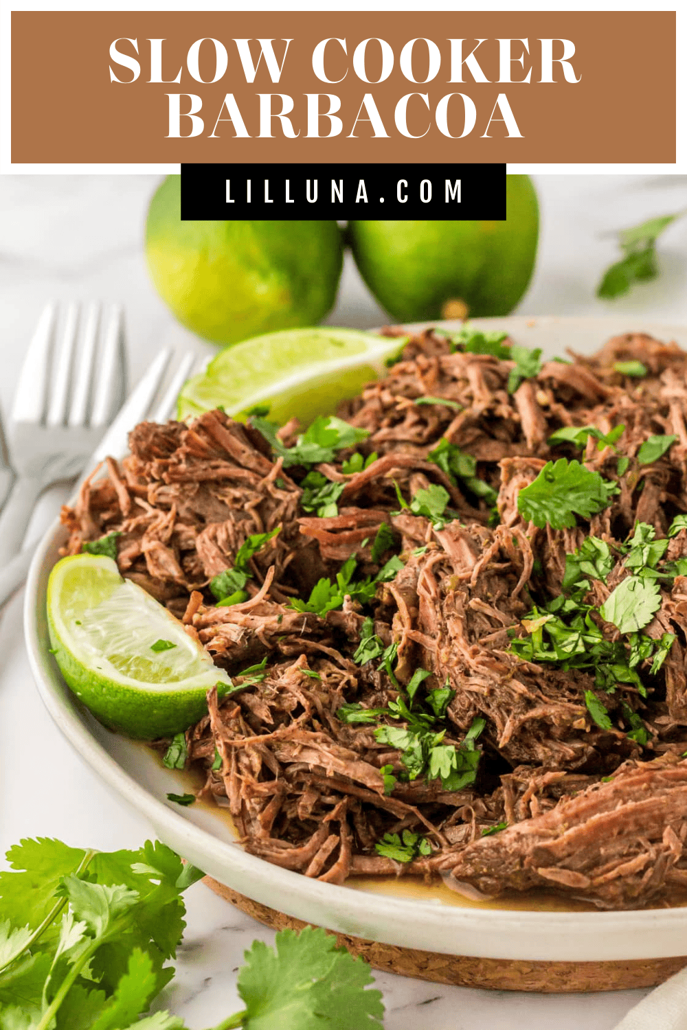 Slow Cooker Barbacoa {Mexican Beef BBQ} | Lil' Luna
