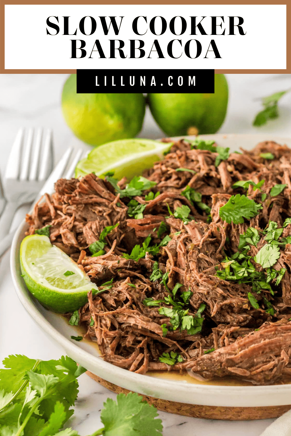 Slow Cooker Barbacoa {Mexican Beef BBQ} | Lil' Luna