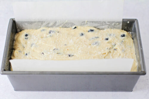 Easy Blueberry Bread Recipe | Lil' Luna