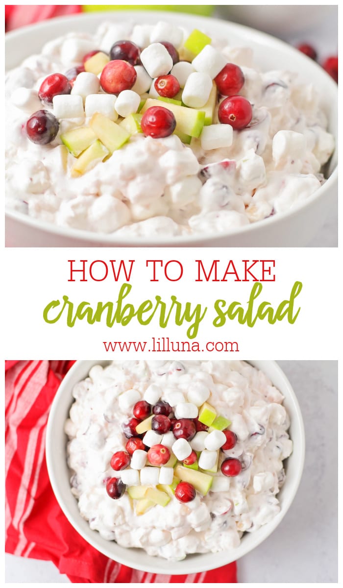 Cranberry Salad {Prepped in Minutes!} | Lil' Luna