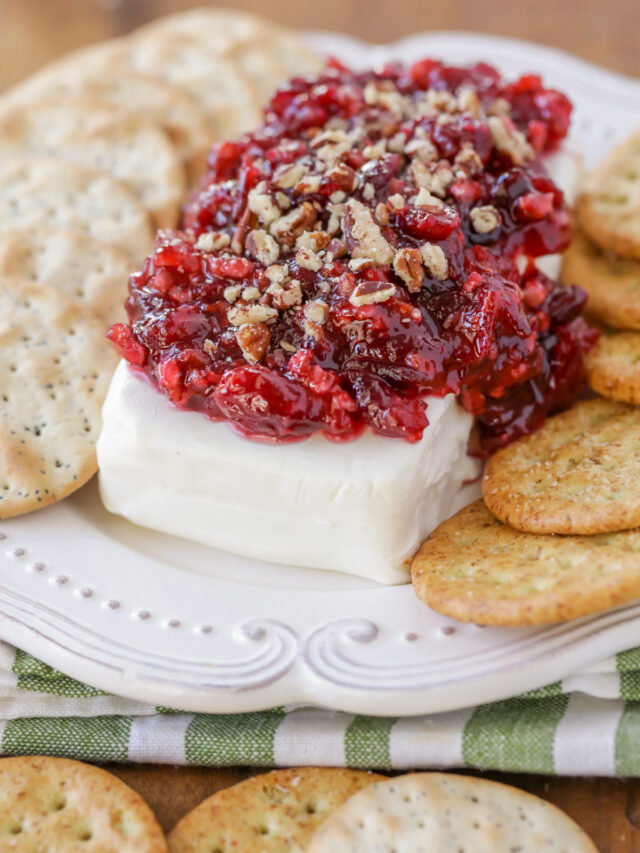 Cream Cheese Salsa Dip Just 2 Ingredients Lil Luna