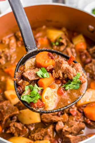 Mexican Beef Stew {10 Minutes Prep!} | Lil' Luna