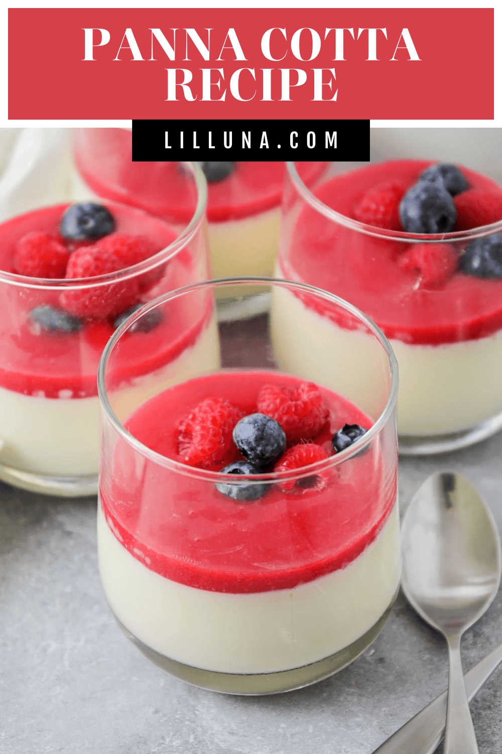 Panna Cotta Recipe {aka Italian Pudding!} +VIDEO | Lil' Luna