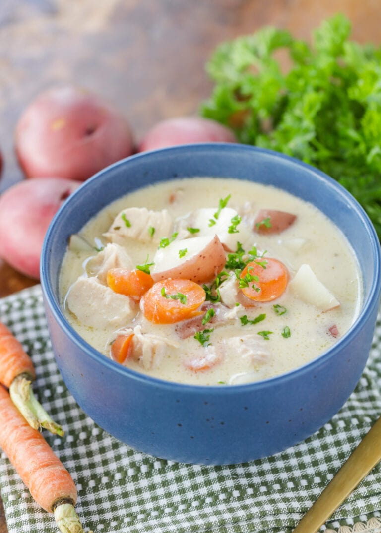 Crock Pot Chicken Stew {5 Minutes Prep!} +VIDEO | Lil' Luna