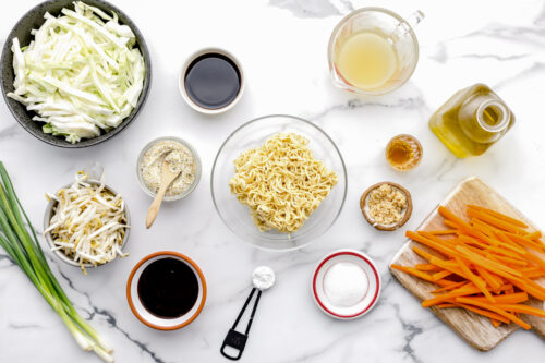 Easy Chow Mein Recipe | Lil' Luna