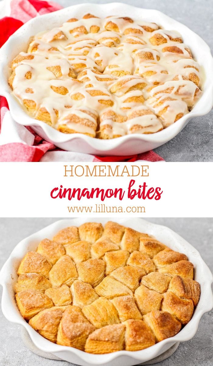 Cinnamon Bites {Quick + Easy!} +VIDEO | Lil' Luna